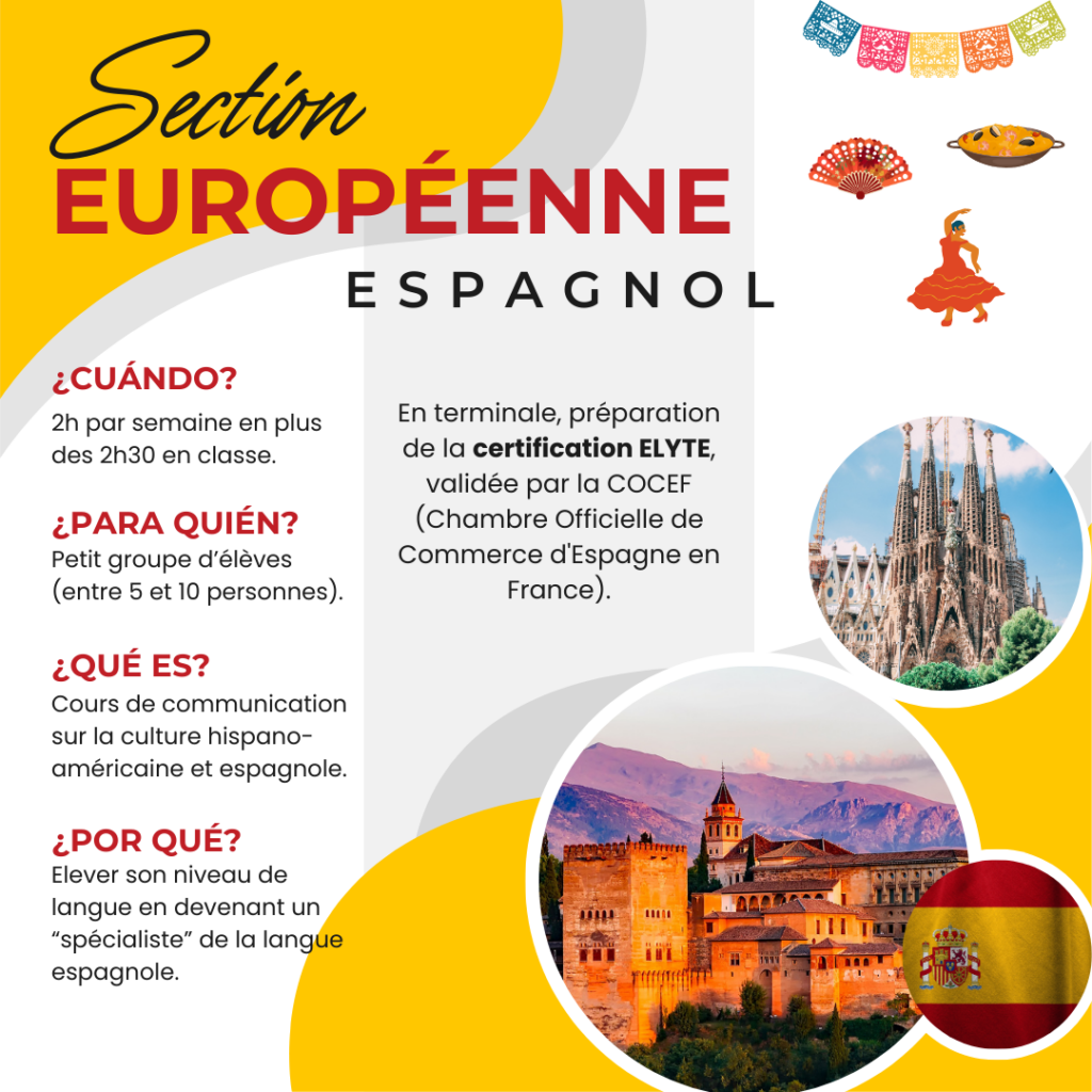 Section Euro – International