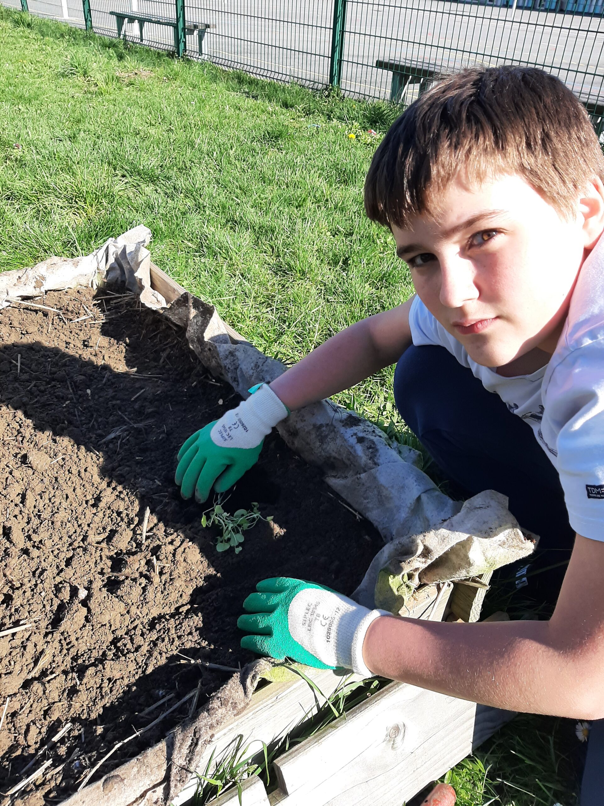 Jardinage de Printemps ! – Collège