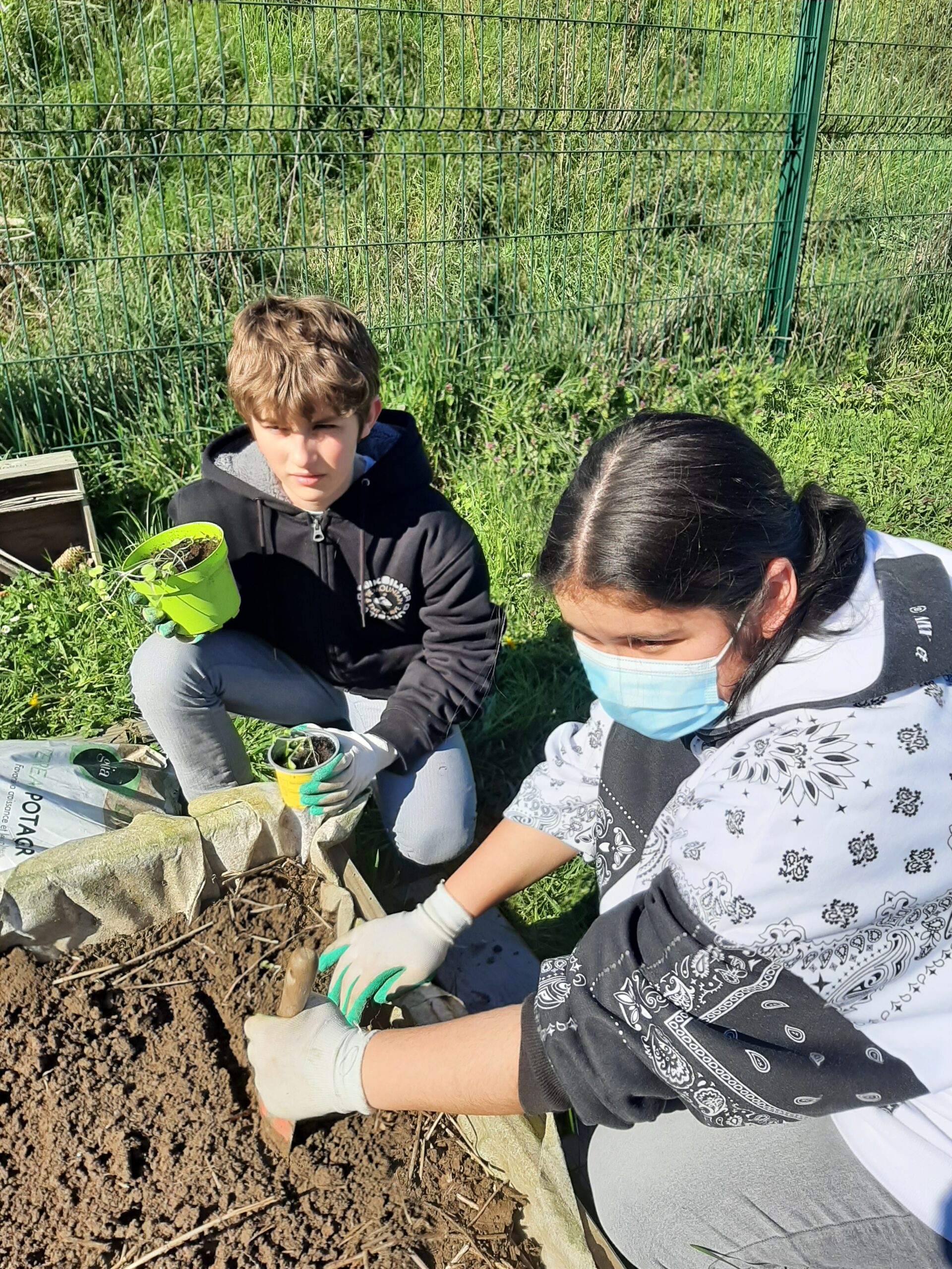 Jardinage de Printemps ! – Collège