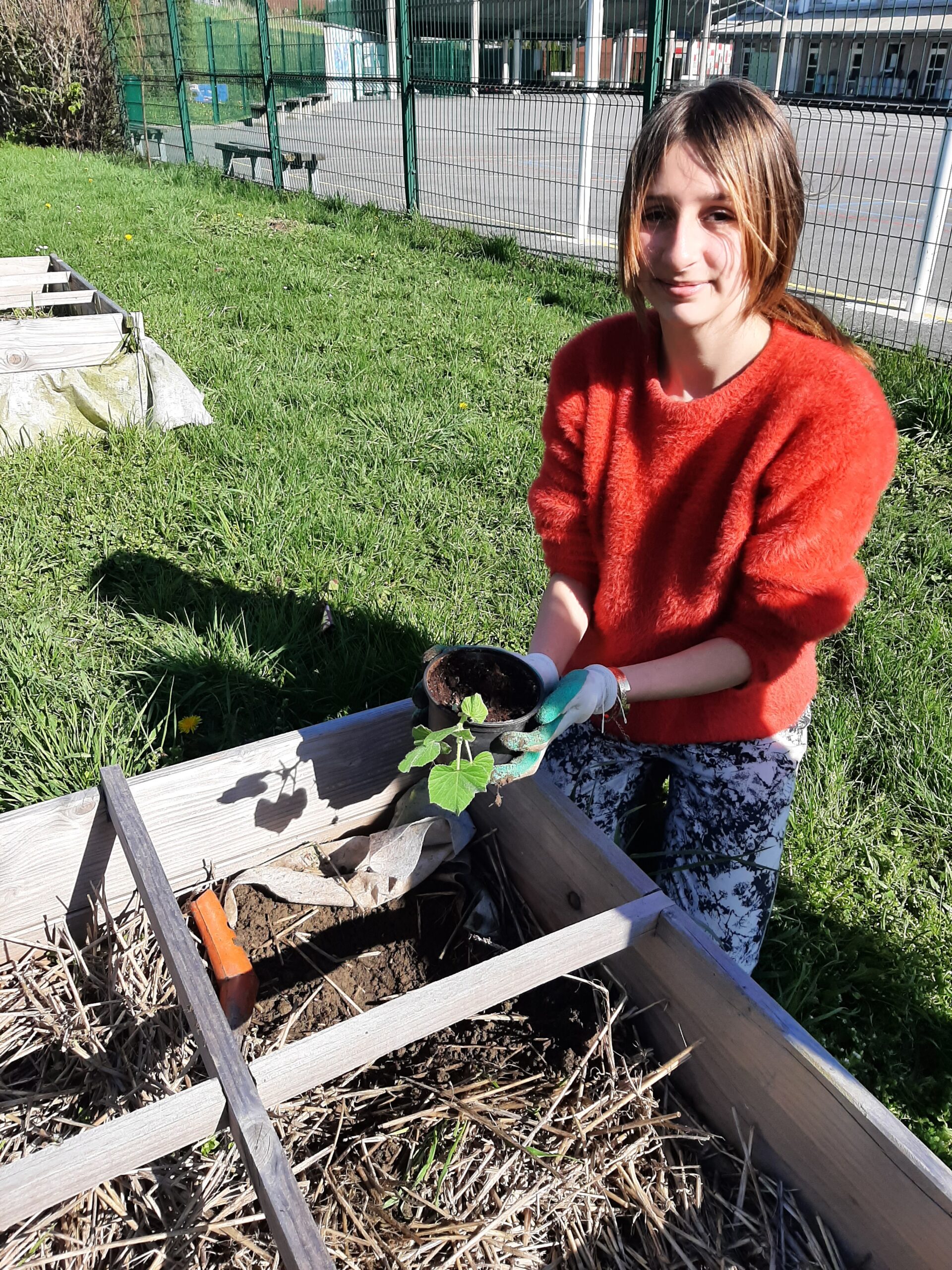 Jardinage de Printemps ! – Collège